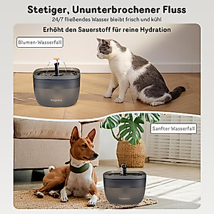 Automatic Cat Feeder and Cat Water Dispenser FW1, Wire or Battery Cat Food Dispenser Timer Pet Feeder - Locking Lid, Desiccant Bag, Programmable Portion Control, 4 Daily Meals, 10s Voice Recorder
