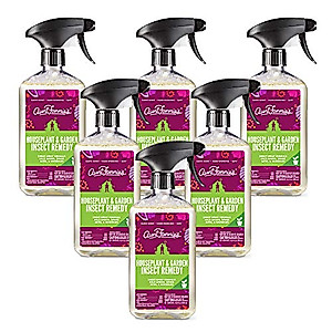 Aunt Fannie’s Houseplant & Garden Insect Remedy, Indoor and Outdoor Plant Insect Killer (6-Pack)