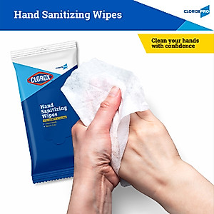 Clorox Pro Hand Wipes in Resealable Pouch, 20 Ct | Clorox Alcohol Free Wipes with BZK | Clorox Hand Wipes, Travel Hand Wipes, Alcohol Free Hand Wipes, Wipes for Hands