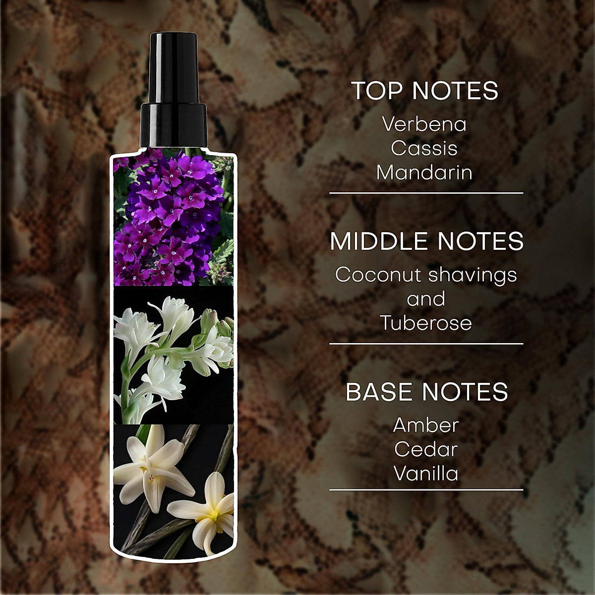 RACHEL ZOE Fearless - Body Mist for Women - Courageous and Unapologetically Bold - Opens with Verbena, Cassis and Mandarin Orange - Blends of Bright Citrus and Tropical Fruits - 10 oz