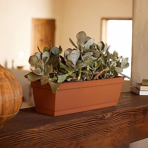 Bloem Dura Cotta Window Box Planter: 30" - Terra Cotta - Large Box with Tray, Weatherproof Resin Box, Removable Tray for Indoor & Outdoor Use, Gardening, 4 Gallon Capacity