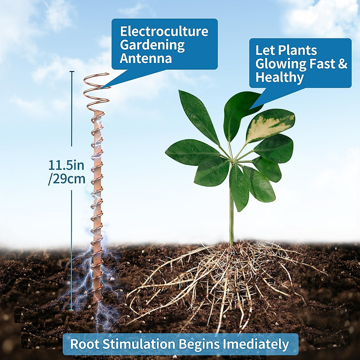 Electroculture Plant Stakes, 6 Pack 11.5" Long Copper Garden Stakes, Electroculture Gardening Copper Coil Antennas for Growing Garden, Indoor Plants and Vegetables, High-Yield, Eco-Friendly