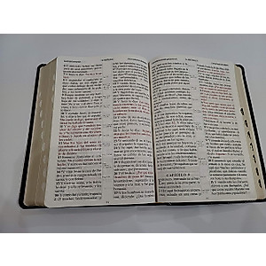 Santa Biblia Version Antigua 1909 Letra Gigante Piel Negra Con Indice