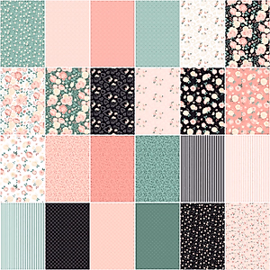 Dani Mogstad At First Sight 24 Fat Quarters Riley Blake Designs FQ-12680-24