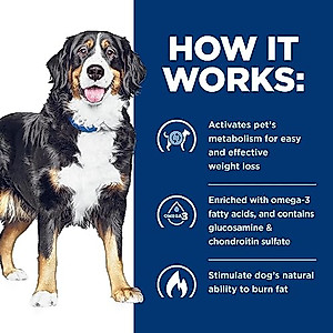 HILL'S PRESCRIPTION DIET ​Metabolic + Mobility, Weight + j/d Joint Care Chicken Flavor Dry Dog Food, Veterinary Diet, 8.5 lb. Bag