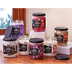 Vanilla Bean Odor Eliminating Highly Fragranced Candle - Eliminates 95% of Pet, Smoke, Food, and Other Smells Quickly - Up to 80 Hour Burn time - 12 Ounce Premium Soy Blend