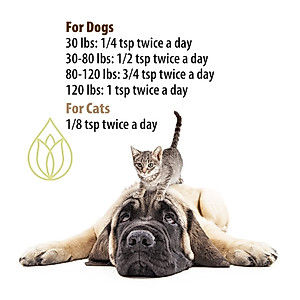 Teliapets Milk Thistle Seed Powder, Herbal & Effective, Natural, Ideal to Protect The Liver & Kidney Health, Against Allergies, Detoxifying, Antioxidant -for Dogs & Cats 23.4oz /700 gr