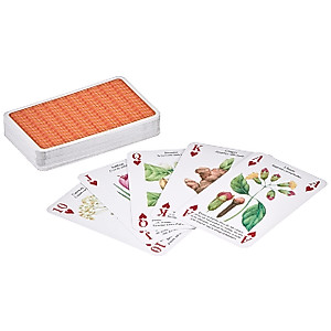 Heritage Products Spice-themed Playing Cards, 54 Cards, All Ages, Educational, Thematic, Unisex, Brown, Yellow, Red, Paper, No Assembly Required, 1 Pack