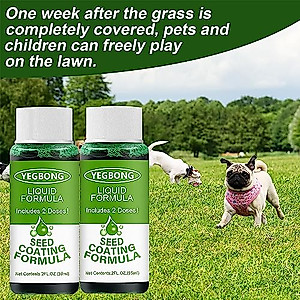 Alkyne Green Grass Lawn Spray, Cowboy Green Grass Seed Spray, Greenrevive Hydroseeding Lawn Solution Grass Seed Spray, Lorco Green Grass Lawn Spray, Liquid Grass Seed Spray for Lawn (10pcs)