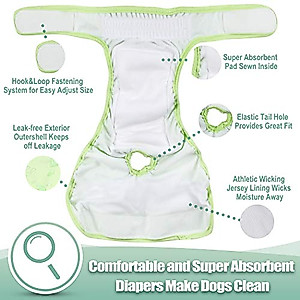 wegreeco Luxury Washable Reusable Dog Diapers (Stylish Pattern) - Durable Female Dog Diapers, Doggie Diapers, 3 Pack (Vigorous, Large)