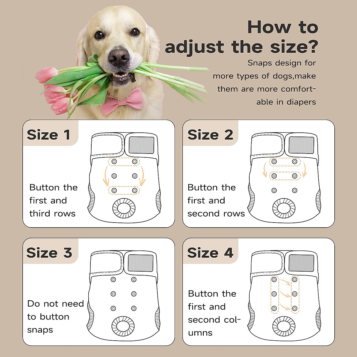 Paw Legend Washable Reusable Female Dog Period Diapers for Heat Doggie Puppy Diapers for Female Dogs (3 Pack, Large)