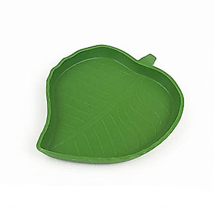 DIEWU Leaf Shape Bowl for Reptile, Food Water Bowl Plate Dish for Tortoise Snake Crawl Pet Drinking and Eating(S)