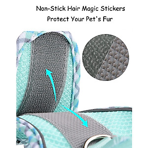 Petank Green Dog Harness (XS), No Pull, Puppy Harness and Leash Set, Jacquard Mesh, Easy Walk Dog Harness for Small Medium Dogs, Reflective Strip, Training, Running, Walking