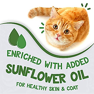 Earthborn Holistic Chicken Catcciatori Grain-Free Moist Cat Food 3 Ounce (Pack of 24)