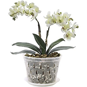 lanccona Orchid Pot, 8 Inch 4 Pack Orchid Pots with Holes and Saucers, Clear Plastic Orchid Pots