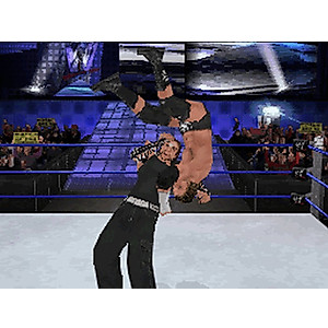 WWE Smackdown vs. Raw 2009 (Nintendo DS)