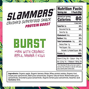 Slammers Organic Superfood Fruit & Veggie Snack Squeeze Pouch - Protein Pack - 3.5 Ounce (Pack of 16)