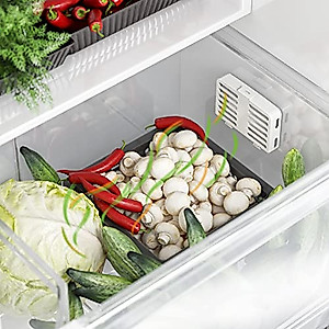 iTouchless AbsorbX Refrigerator Odor Removal 2-Pack Fridge and Freezer Deodorizer, Better than Baking Soda, Replaceable Natural Filter Extends Food Freshness, Prevents Waste, 6-Month Supply Included