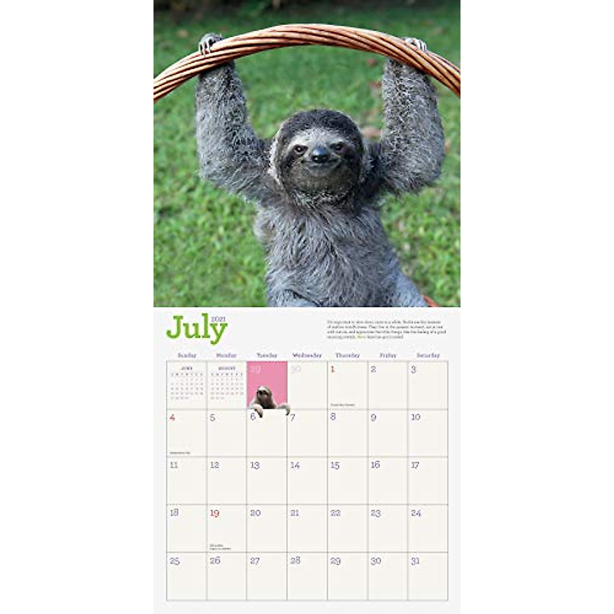 Original Sloths Wall Calendar 2021