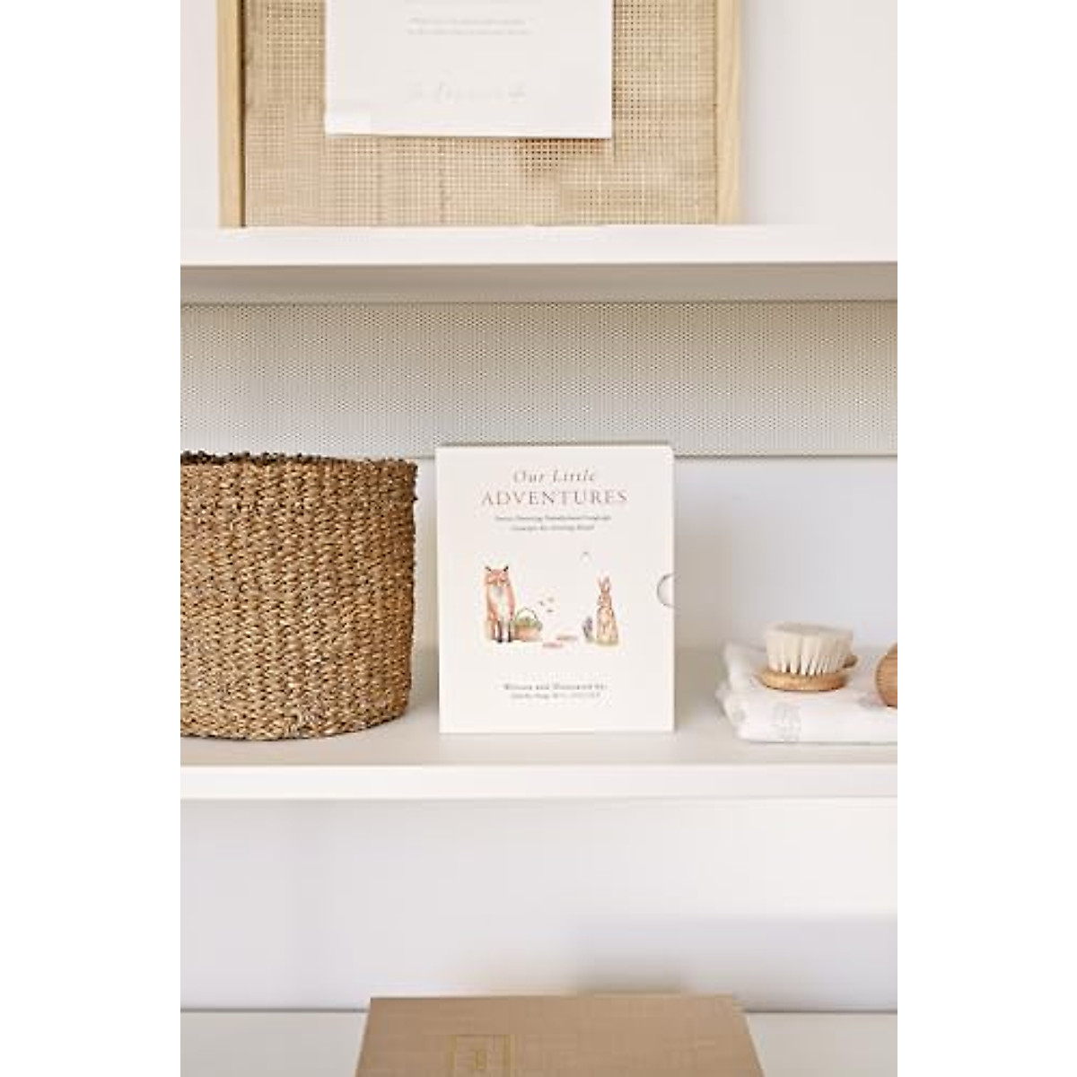 Our Little Adventures: Stories Featuring Foundational Language Concepts for Growing Minds (Our Little Adventures Series)