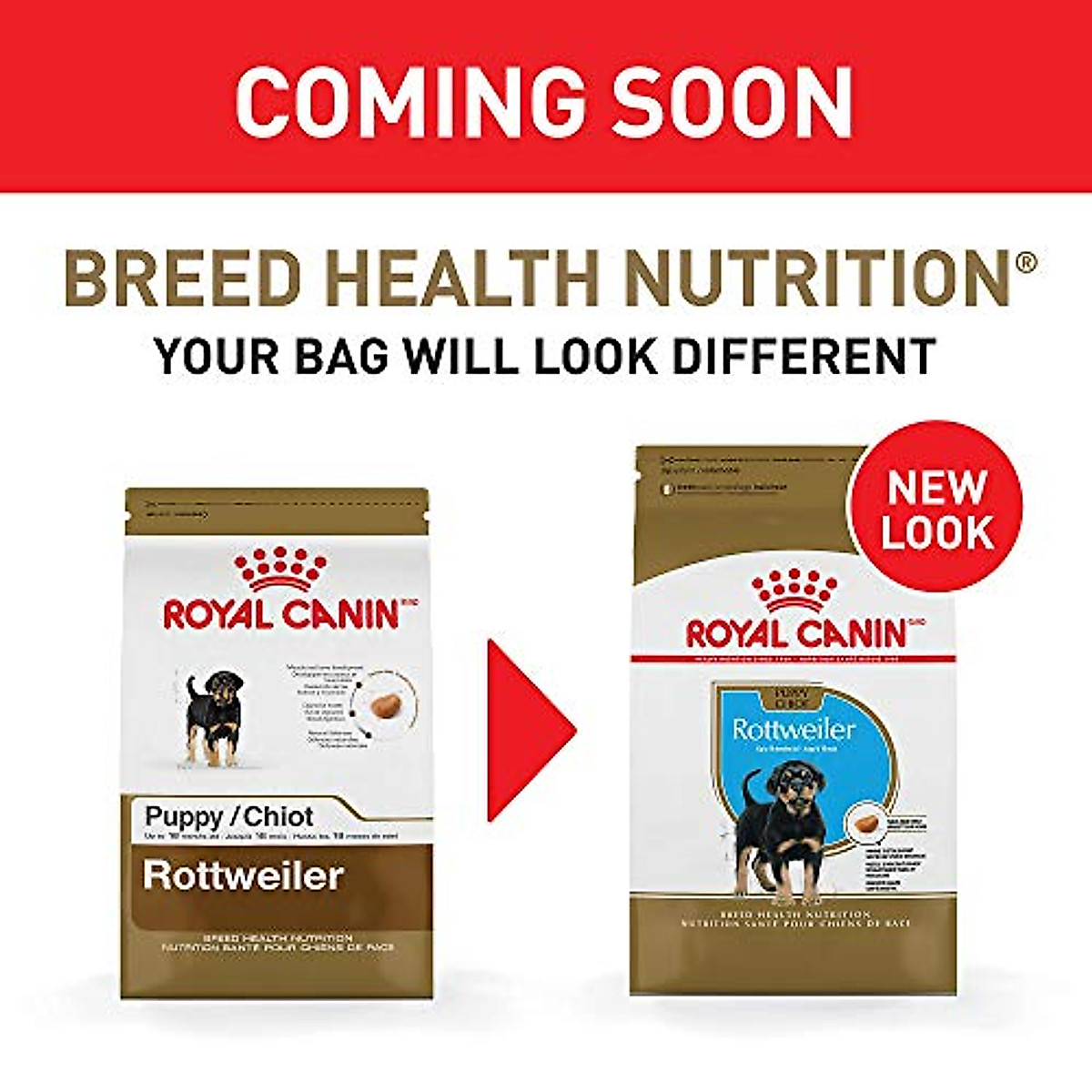 Royal Canin Breed Health Nutrition Rottweiler Puppy Dry Dog Food, 30 lb