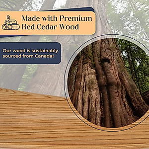 Pasithea Canadian Red Cedar 4-Point Sauna Headrest - Comfortable Sauna Pillow with Unique Adjustable Discs for Optimal Head Support - Sauna Accessories for Any Infrared Sauna or Traditional Sauna