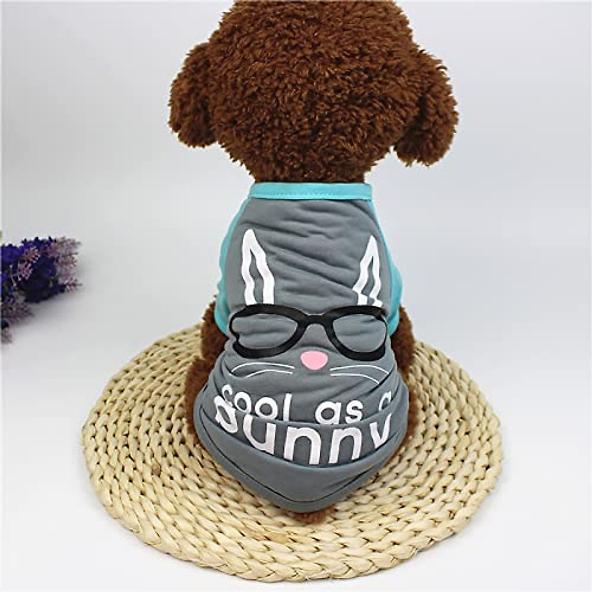 Cute Girl Puppy Clothes Dog Clothing Staple Fiber Jersey Vest Hoodie Fleece Puppy Sweater Shirt Doggie Soft Coat Apparel Puppy Costume for Small Dog