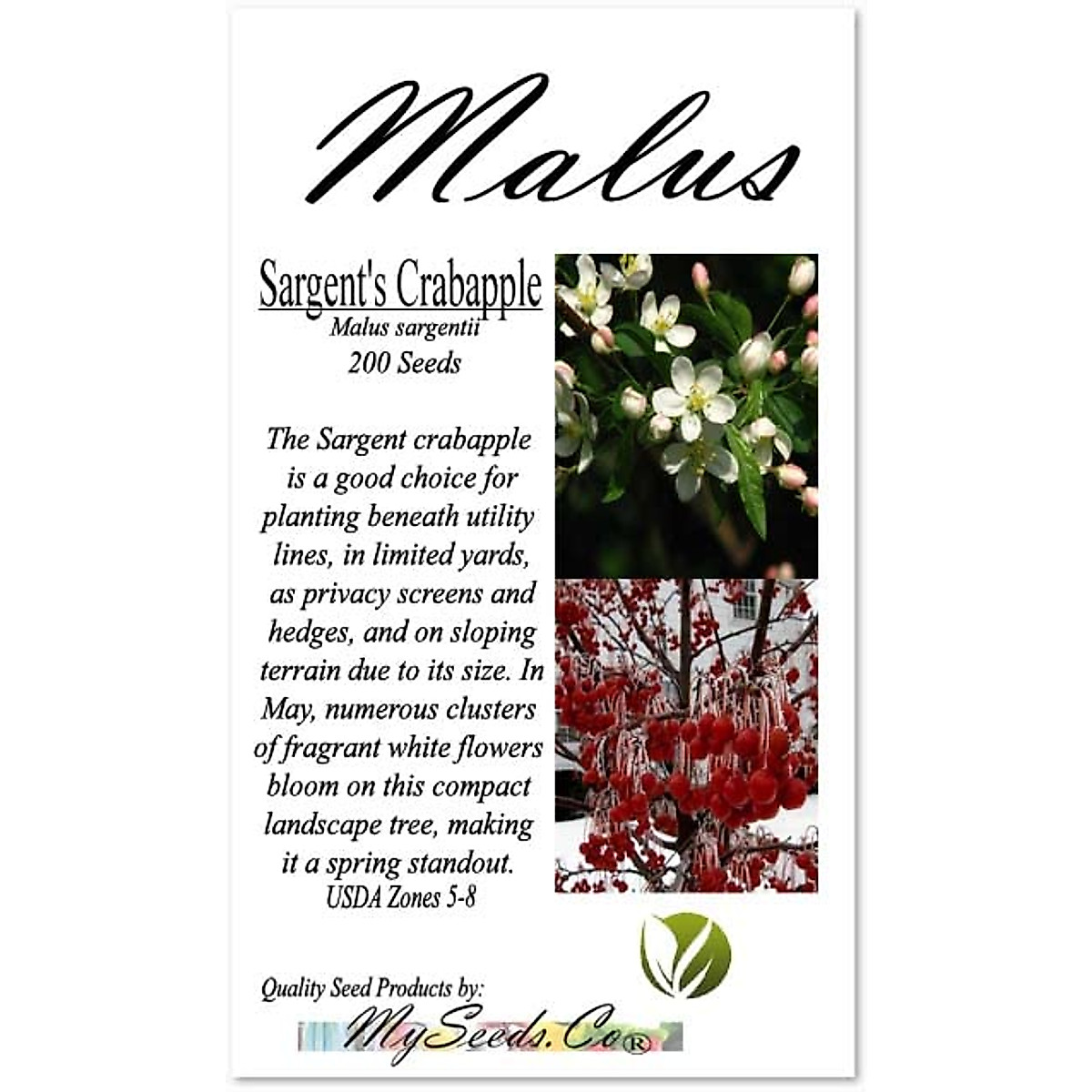 Malus sargentii (Sargent's Crabapple) Tree Seed, Fragrant White Flowers, Small, Dark red, Persistent Fruits, You Choose The Quantity (1 Pack)