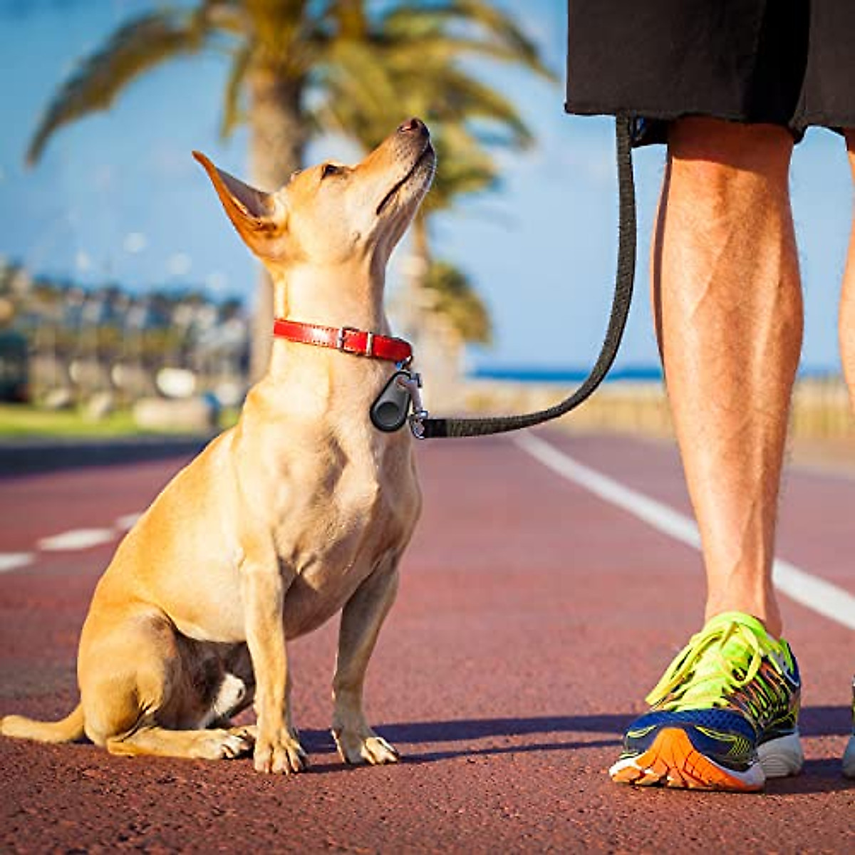 8 Pack Portable GPS Tracking Mobile Tracking Smart Anti Loss Device Waterproof Key Finder Locator Smart Finders Tracker Device for Kids Dog Pet Cat Wallet Keychain Luggage, Alarm Reminder, App Control