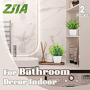 ZJIA 2 Packs Small Fake Plants Artificial Greenery Plants in Pots for Home Bedroom Bathroom Farmhouse Kitchen Decor Indoor