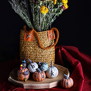 MorTime Thanksgiving Decorations Hand-Painted Turkey Pumpkin with Engraved Thanks, Set of 6 Tabletop Fall Autumn Decor for Living Room Bedroom Kitchen Thanksgiving Harvest Day