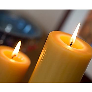 The Beeswax Co Pillar Beeswax Candle - Natural Honey Scented - Long-Lasting & Eco-Friendly - Cotton Wick - Slow Burning - Hand Poured Pure Organic Bees Wax - Short