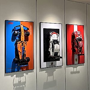iLuane Display Wallboard for Lego 42083 Bugatti Chiron Bundle with Lego Porsche 911 RSR 42096, Collectibles Display Wallboard for Building Blocks (Only Display Wallboard)