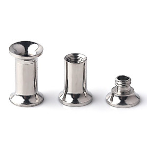 Ruifan 6 Pairs Stainless Steel Screw Ear Gauges Flesh Tunnels Plugs Expander Stretcher 6 Colors same Size 6G(4mm)