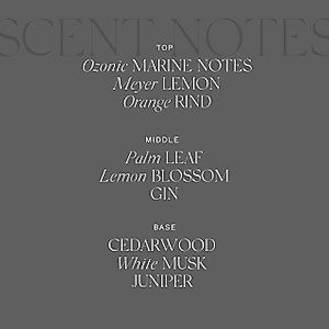 Antica Farmacista Scented Candle, Wave, 9 Ounce