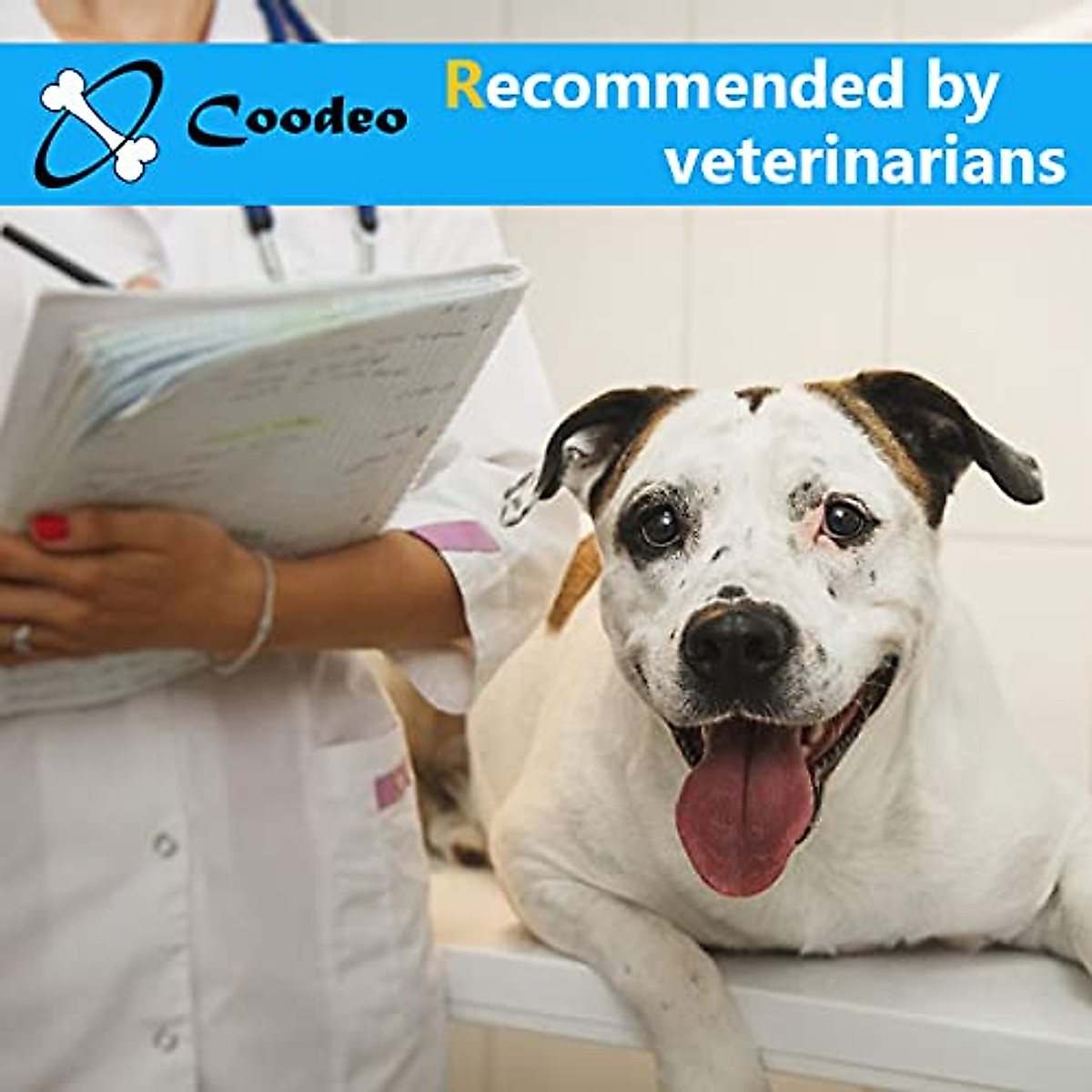 Coodeo Dog Back Brace for Dogs Arthritis, Pet Back Bracer for IVDD, Back Protector Helps Pain Relief, Surgical Recovery and Rehabilitation, Dogs Back Disease Prevention. (Medium)