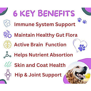 Freydell Pets Multivitamin Dog Supplement: Glucosamine Chondroitin, Probiotics, Omega Fish Oil, Skin and Coat Allergy Vitamins - Dog Supplements & Vitamins