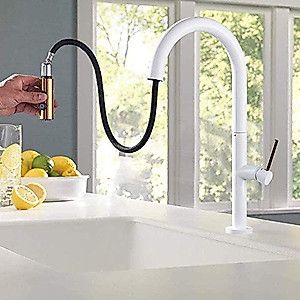 NZDY Faucet Black Kitchen Faucet Rose Gold Pull Out Kitchen Head Deck D Bathroom Kitchen Mixer Tap Dual Function Shower Head Black Style