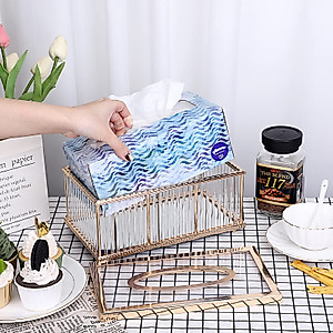 Sumnacon Rectangular Acrylic Tissue Box Cover - Stylish Facial Tissue Box Holder, Decorative Tissue Box for Bathroom Vanity Dresser Night Stand Table Countertop Desk Office Bar