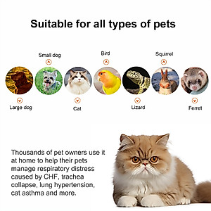 Ryxor Pet Oxygen Mask - 5 Sizes, 7 Feet Tubing - Veterinary Designed Breathing Aid for Dogs & Cats - Helps Relieve Breathing Distress from CHF, Tracheal Collapse, Asthma - Vet, EMS, Use（Purple）