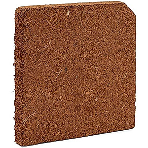 12 Pack Compressed Coco Coir Seed Starter, 0.55lb Soil Brick for Gardening