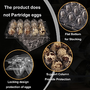 KUKLIPJIM 200 Pack Quail Egg Cartons, Clear Plastic Quail Egg Trays, Holds up to 15 Quail Eggs Securely - Your Ultimate Small Eggs Carton Holders for Bulk Storage and Display