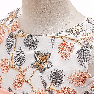 12 18 24 Months Formal Pageant Princess Easter Dresses for Girls Embroidery Sleeveless 2T Little Girl Elegant Spring Prom Lace Dresses 24M Orange