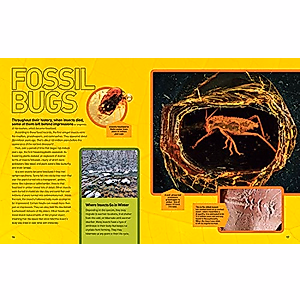 Ultimate Bugopedia: The Most Complete Bug Reference Ever (National Geographic Kids)