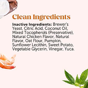 Pet Honesty Senior Hemp Hip & Joint Supplement for Dogs - Dog Joint Supplement with Hemp Oil & Powder, Glucosamine for Dogs, Collagen, MSM & Green Lipped Mussel - Mobility for Senior Dogs (Chicken 90)