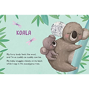 Wild Animals: A Touch and Feel Book - Children's Board Book - Educational