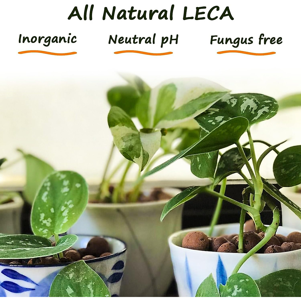 1LB Leca Balls for Indoor Plants, Expanded Clay Pebbles for Plants Hydroponic, Orchid Potting Mix, Soil Amendment, Drainage, Easy Reusability, 4-16mm, includes Gloves