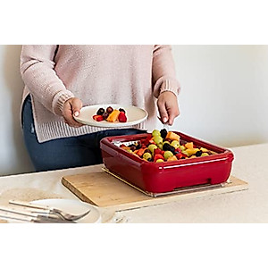 Fancy Panz Classic, Dress Up & Protect Your Foil Pan, Made in USA, Fits Half Size Foil Pans. Hot or Cold Food. Stackable for easy travel. (Red)