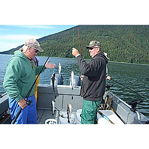 Bait Rig Assorted 16 Packs Freshwater/Saltwater Sea Fishing Rigs, Bait Rigs with Ball Bearing Swivel for Bass Trout Walleye Red Fish