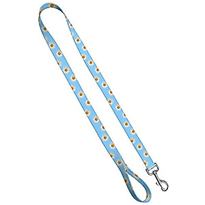Moose Pet Wear Standard Leash 1" x 4', Daisy